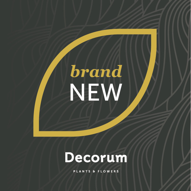 Decorum Novelties