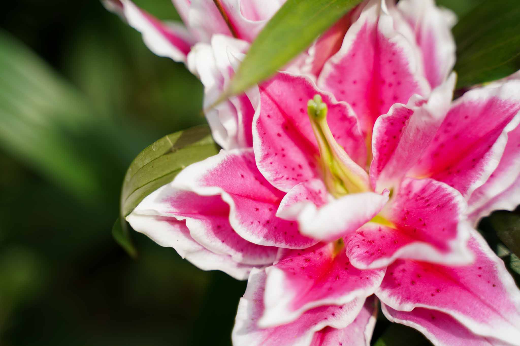 Bloemen op je bruiloft: de beste decoratie tips - Decorum