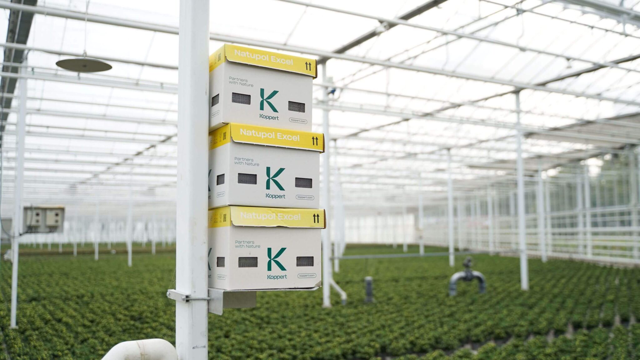 Duurzaamheid in de tuinbouw - Decorum