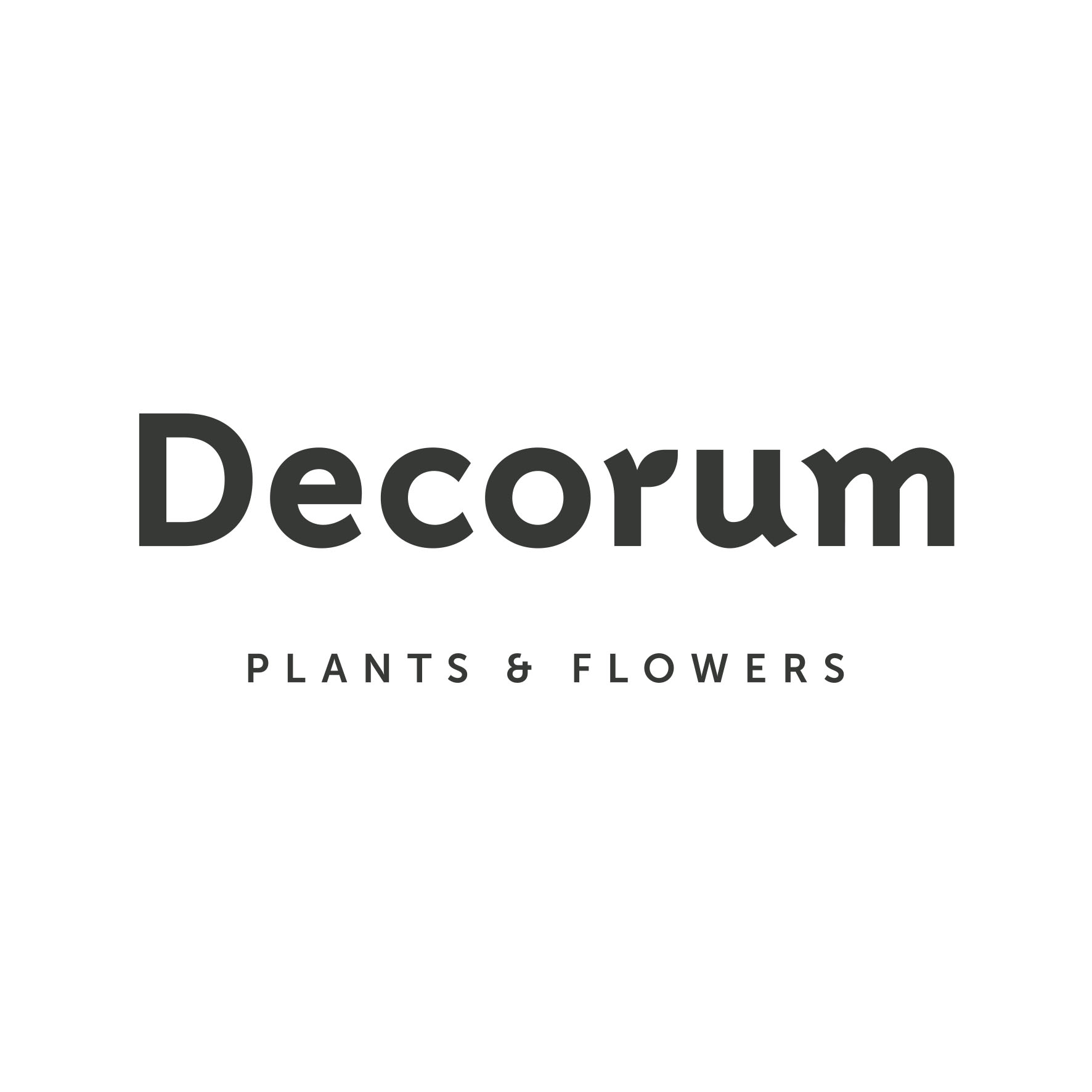 Press - Decorum