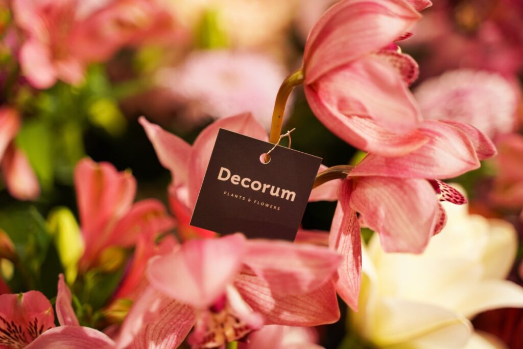 Ontdek een exclusief aanbod ‘Decorum Only’ producten - Decorum