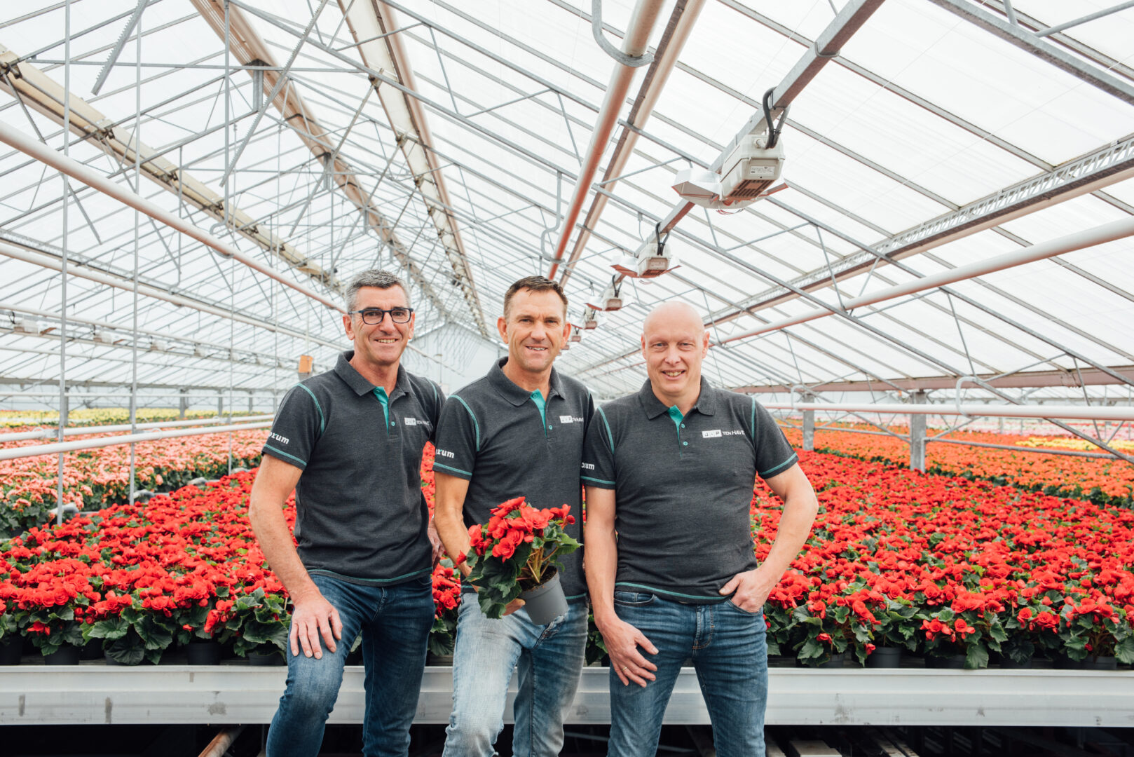 The first Decorum Only plant selection - Decorum