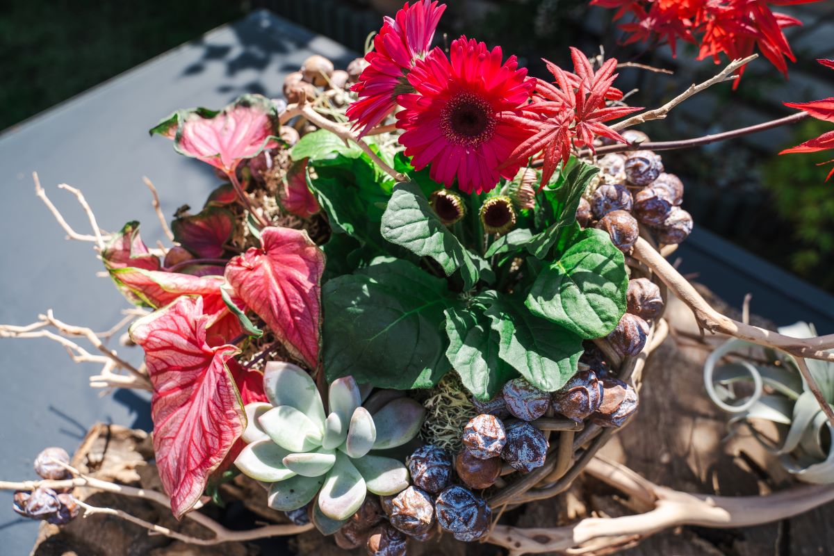 A Path to Floral Mastery: Claudia Tararache’s Journey – Decorum