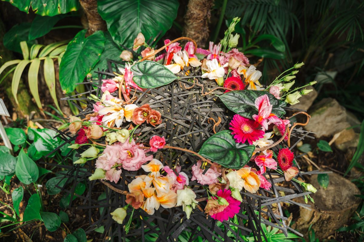 A Path to Floral Mastery: Gábor Nagy’s Journey – Decorum