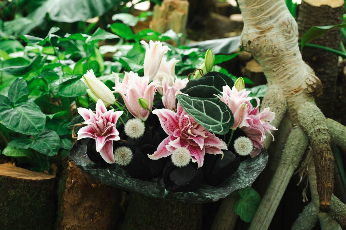 A Path to Floral Mastery: Gábor Nagy’s Journey – Decorum