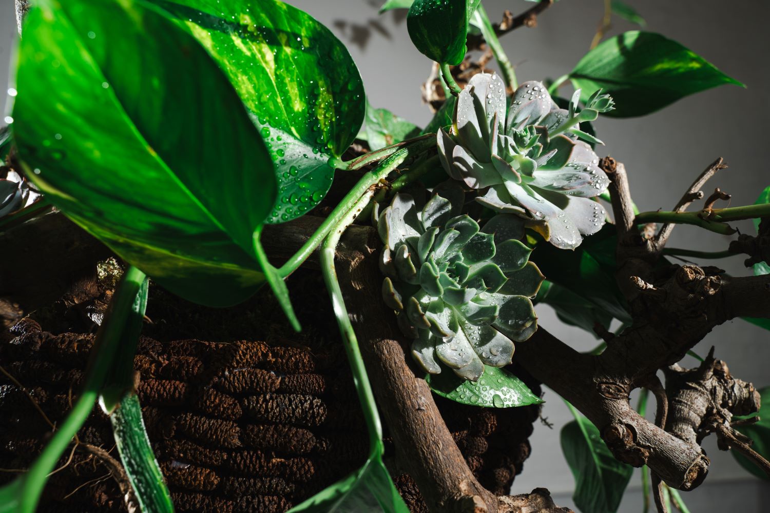A Path to Floral Mastery: Joseph Massie’s Journey – Decorum